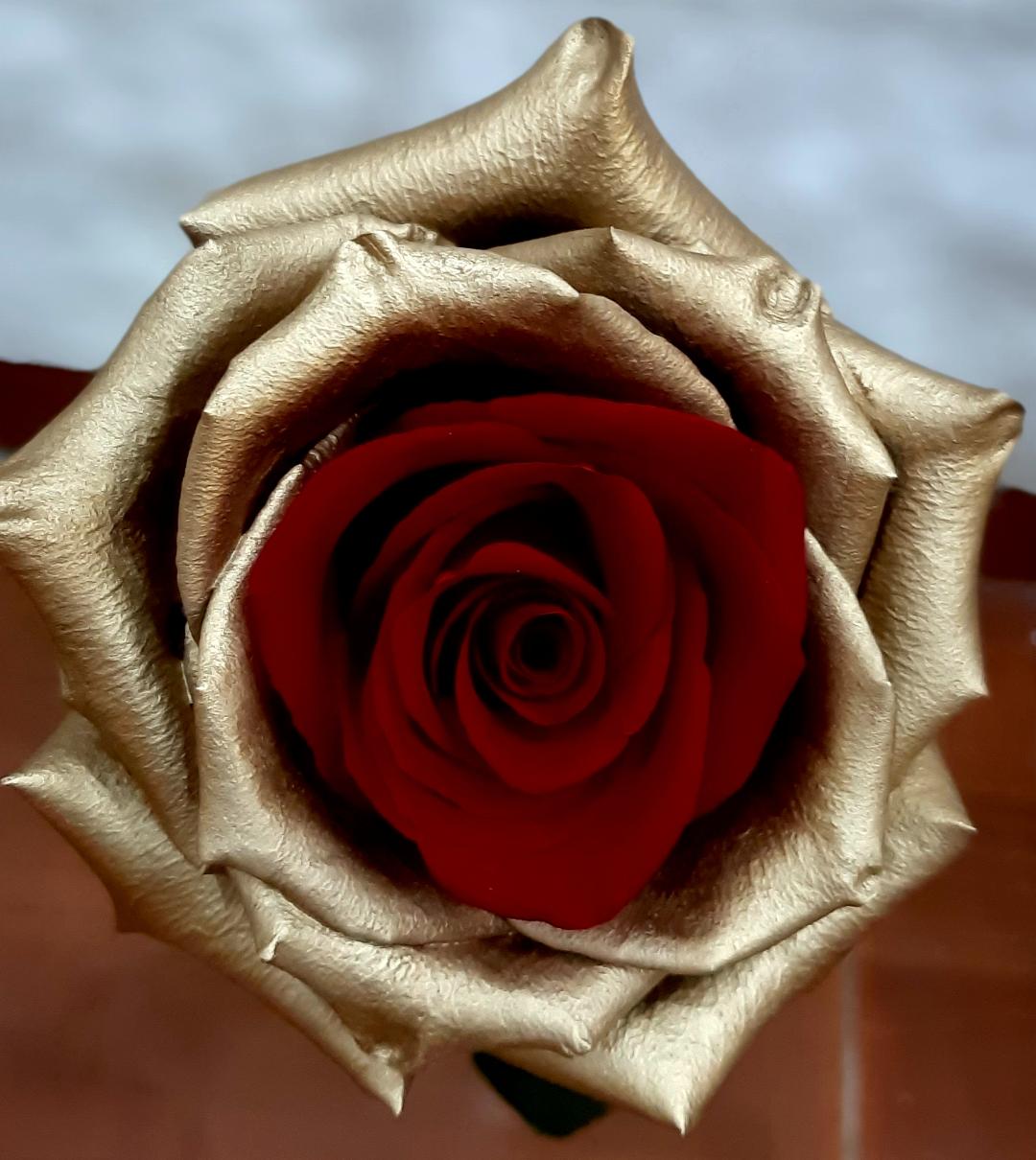 ROSA RED GOLD en Capital Federal | Envio de Flores a Domicilio ...