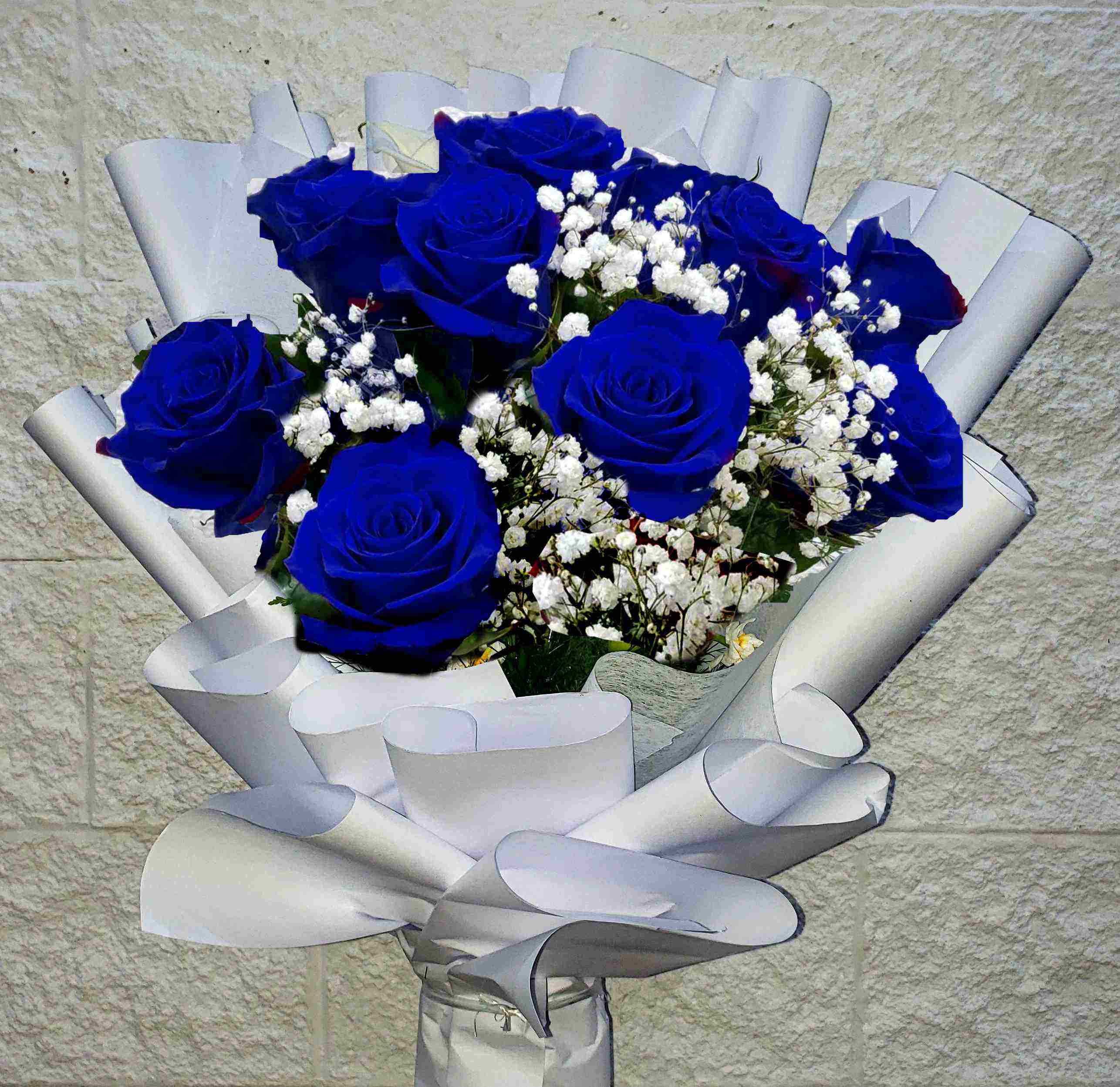 Rosas Azules en Capital Federal | Envio de Flores a Domicilio ...